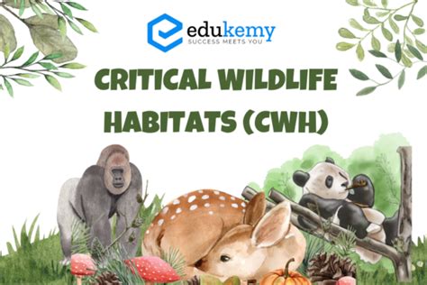 Biodiversity Hotspots In India Upsc Environment Notes