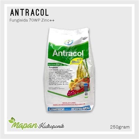 Promo Fungisida ANTRACOL 70 WP ZINC Kemasan Pabrik 250 Gr Anti Jamur