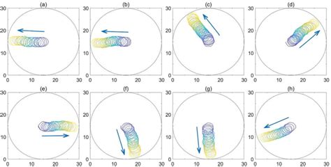 The Ps Trajectories Of The Spiral Waves Influenced By Polarized
