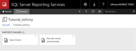 Srss Reporting Appli Data Solutions