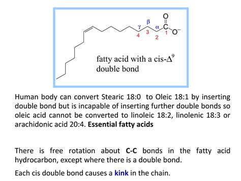 Lipids Ppt Chemistry Science