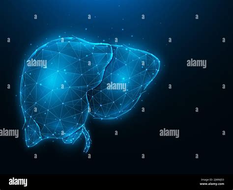 Abstract Polygonal Illustration Of A Human Liver On A Dark Blue