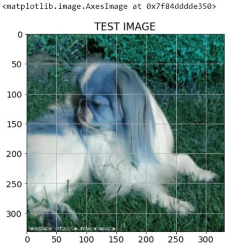 Multiclass Image Classification Using Transfer Learning GeeksforGeeks