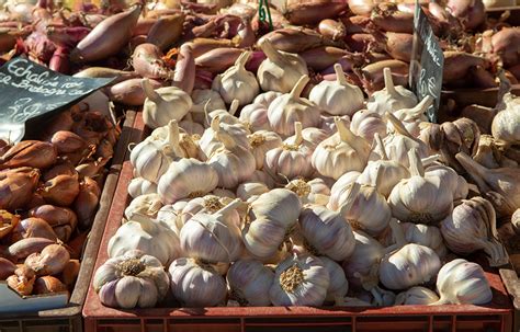 Feeling Hungry These Are The Best Summer Food Festivals In The Usa