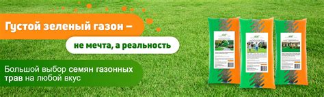 Семена | Купить профессиональные семена по почте Украина | Купить ...