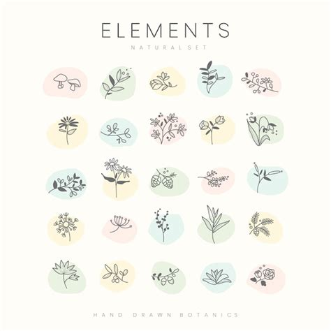 Set Van Hand Getrokken Botanische Elementen Vector Gratis Vector