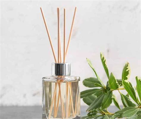 Reed Diffuser Oil Green Roots Botanicals Cleaning Service