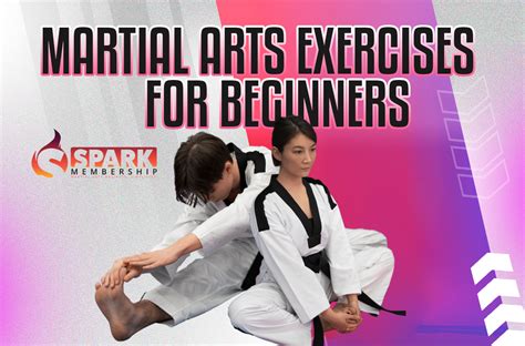 Martial Arts Exercises For Beginners Spark Membership The 1 Member