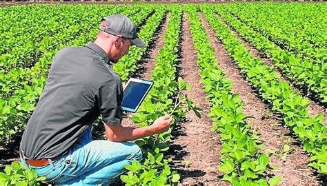 Guía Completa De Ingeniería Agrícola Agricoltura Finanza Contadino