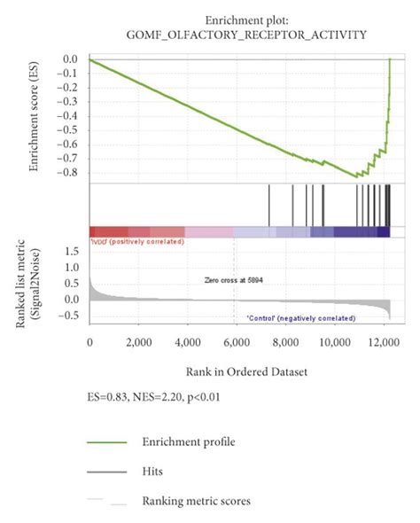 Gsea Plots Showing The Most Enriched Gene Sets Of All Detected Genes In