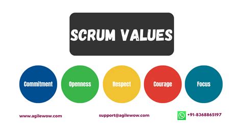 The Multifaceted World Of Scrum Values