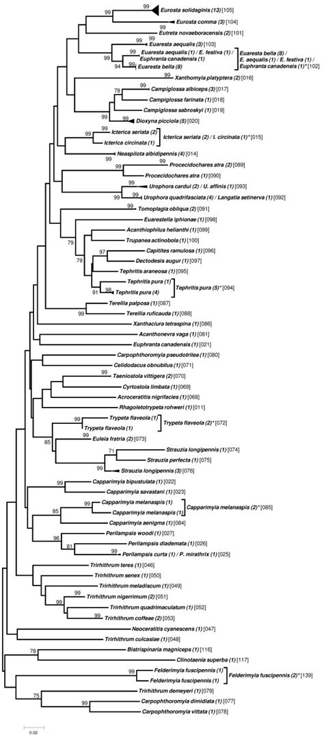 Evolutionary Relationships Among All Other Species Download Scientific Diagram