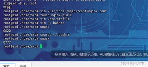 在线部署ubuntu2004服务器，安装jdk、mysql、redis、nginx、minio、开机自启微服务jar包ubuntu2004服务器版 Csdn博客