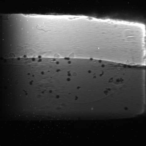 Black Balls Tracking Object Detection Dataset And Pre Trained Model By Chris Team