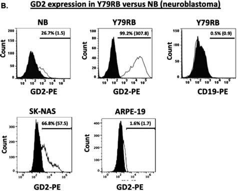 Gd2 Specific Chimeric Antigen Receptor Modified T Cells Targeting