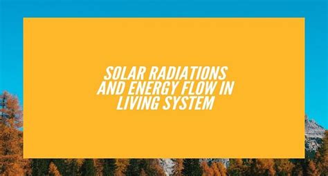 Solar Radiations And Energy Flow In Living System