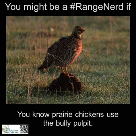 Pin By Rangelands Partnership On Range Nerd Memes Nerd Memes Nerd Memes