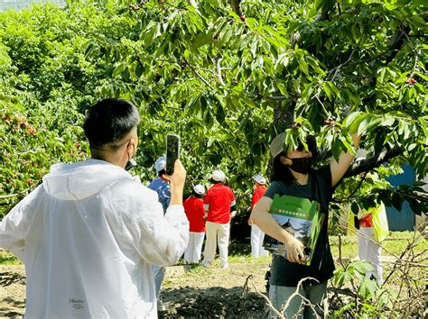 网红“种子哥”助力，乡村农产品带出来直播农业北京市
