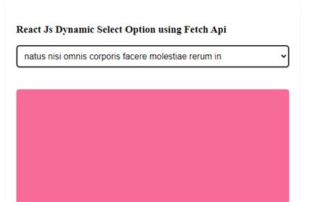 React Js Dynamic Select Option Using Fetch Api Select Option In React