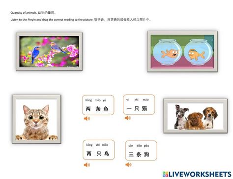 量词 Online Worksheet For G2 Live Worksheets
