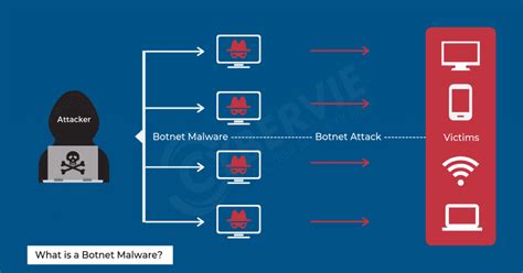 Botnet Attacks And Prevention Tips 2019 Cybervie