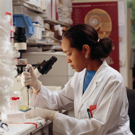 Research Sydney Vascular Modelling Group Unsw Sydney