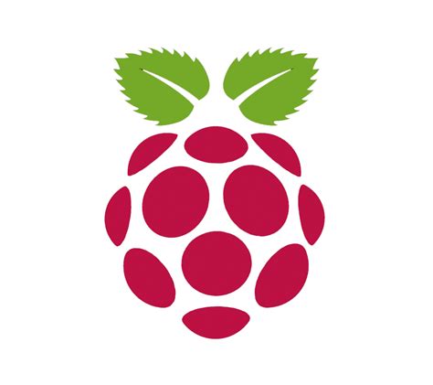 Raspberry Pi Icon Free Icons Library
