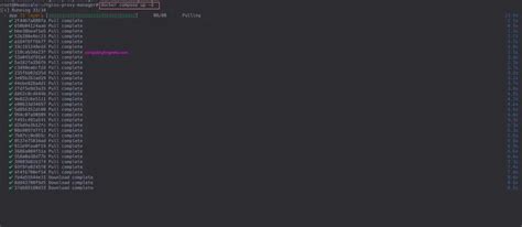 How To Run Nginx Proxy Manager In Docker Container Computingforgeeks