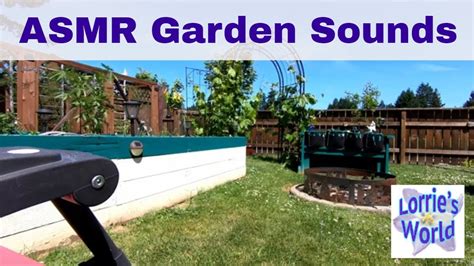 Asmr In My Garden Peaceful Quiet Wind Chimes Birds Youtube