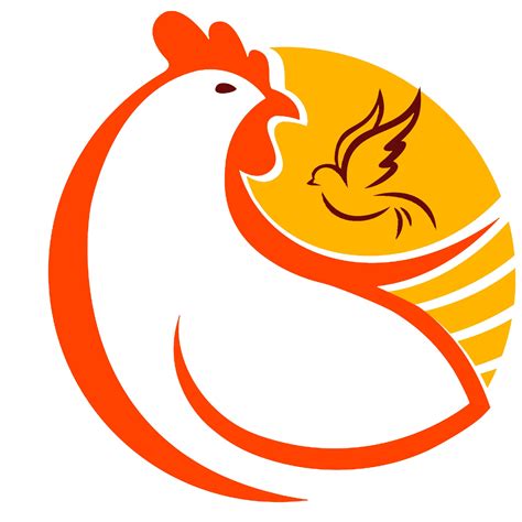 Undug Mn Өндөг мн Тахианы өндөгний хальс яагаад нимгэн гардаг вэ вэ