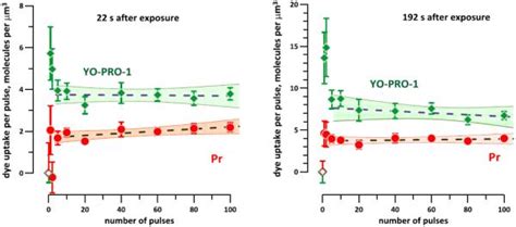 Multiple Nanosecond Electric Pulses Increase The Number But Not The Size Of Long Lived Nanopores