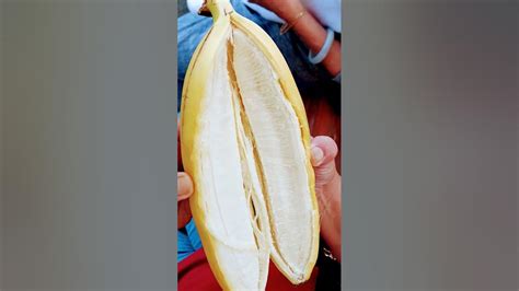 Shorts Viral Twin Bananas 2 Bananas 1 Peel Dailydoseofinternet