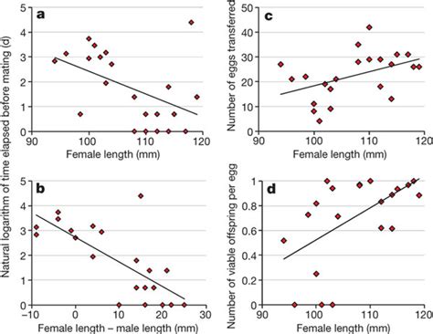 Evidence For Pre Copulatory Mate Choice And Post Copulatory Sexual