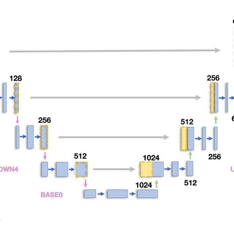A Schematic Representation Of The UNet Model Architecture Arrows Download Scientific Diagram