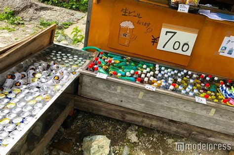 画像31 34 夏の北アルプス登山で人気白馬岳で大雪渓と天空の花畑が奏でる大自然を満喫登山レポ モデルプレス
