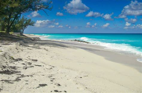 12 Best Things To Do In Bimini Bahamas Cruise Port Guide