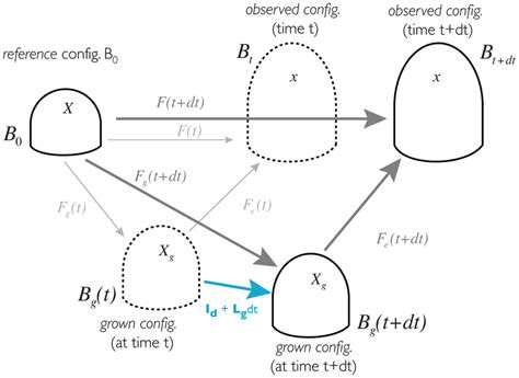 Schematic Representation Of The Different Configurations At Different Download Scientific
