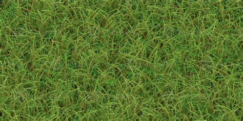 Tall Grass Seamless Texture