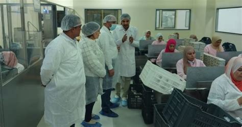 وزارة العمل تفتيش على منشآت ذات كثافة عمالية للتأكد من تشغيل ذوى الهمم