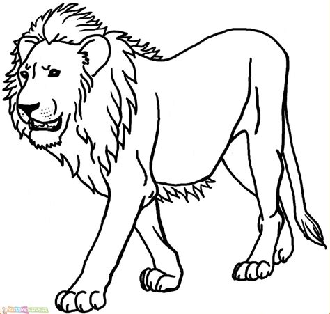 Mewarnai Gambar Singa Menggambar Singa Warna Gambar Images And Photos