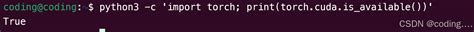 Windows Wsl2中使用 Amd 显卡的 Gpu Rocm 加速运行 Pytorch 大模型wsl Rocm Csdn博客