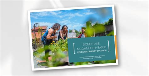 Download The Leaflet And Attend The Bip Eusew 2024 Policy Session Bip
