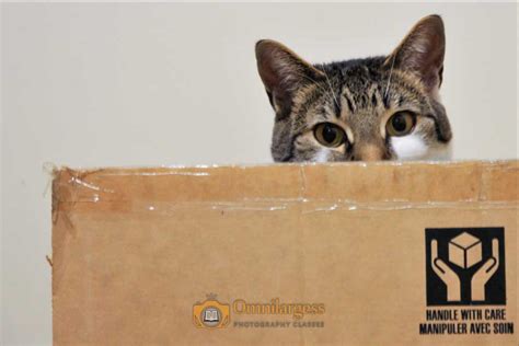 Photoshop Non Destructive Sharpening