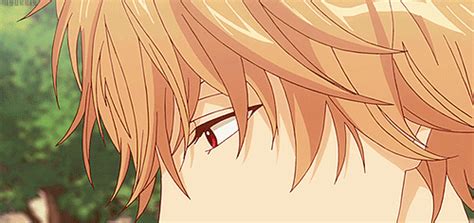 The Black Prince Wolf Girl And Two Sided Prince Ookami Shoujo To Kuro