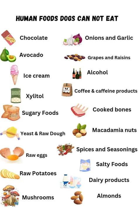 20 Human Foods Dogs Can Not Eat Unsafe Foods