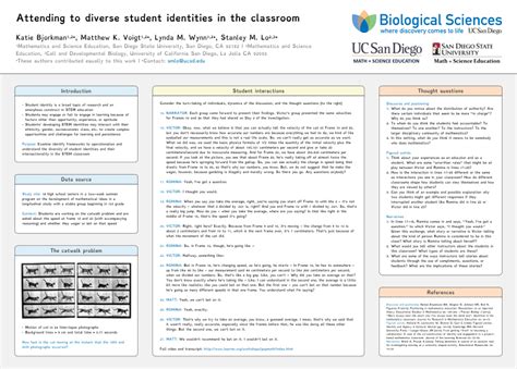 Pdf Attending To Diverse Student Identities In The Classroom