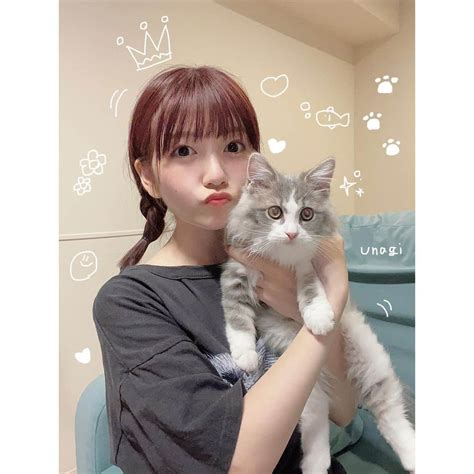 どみちゃんさんのインスタグラム写真 どみちゃんinstagram「🩶🩶🩶 いつも応援してくださる皆様にご報告です 新しく家族ができまし