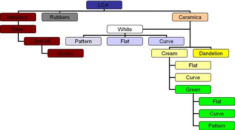 The Taphonomy Experiment Turkana Basin Institute