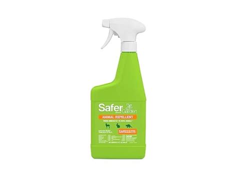 The 10 Best Bird Repellent Sprays Of 2025 Reviews Findthisbest