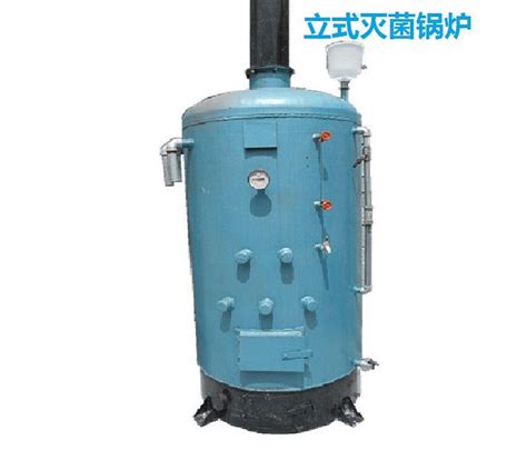 逸村食用菌立式杀菌锅常压灭菌锅炉茴香籽膨化食品如何戒 虎窝淘